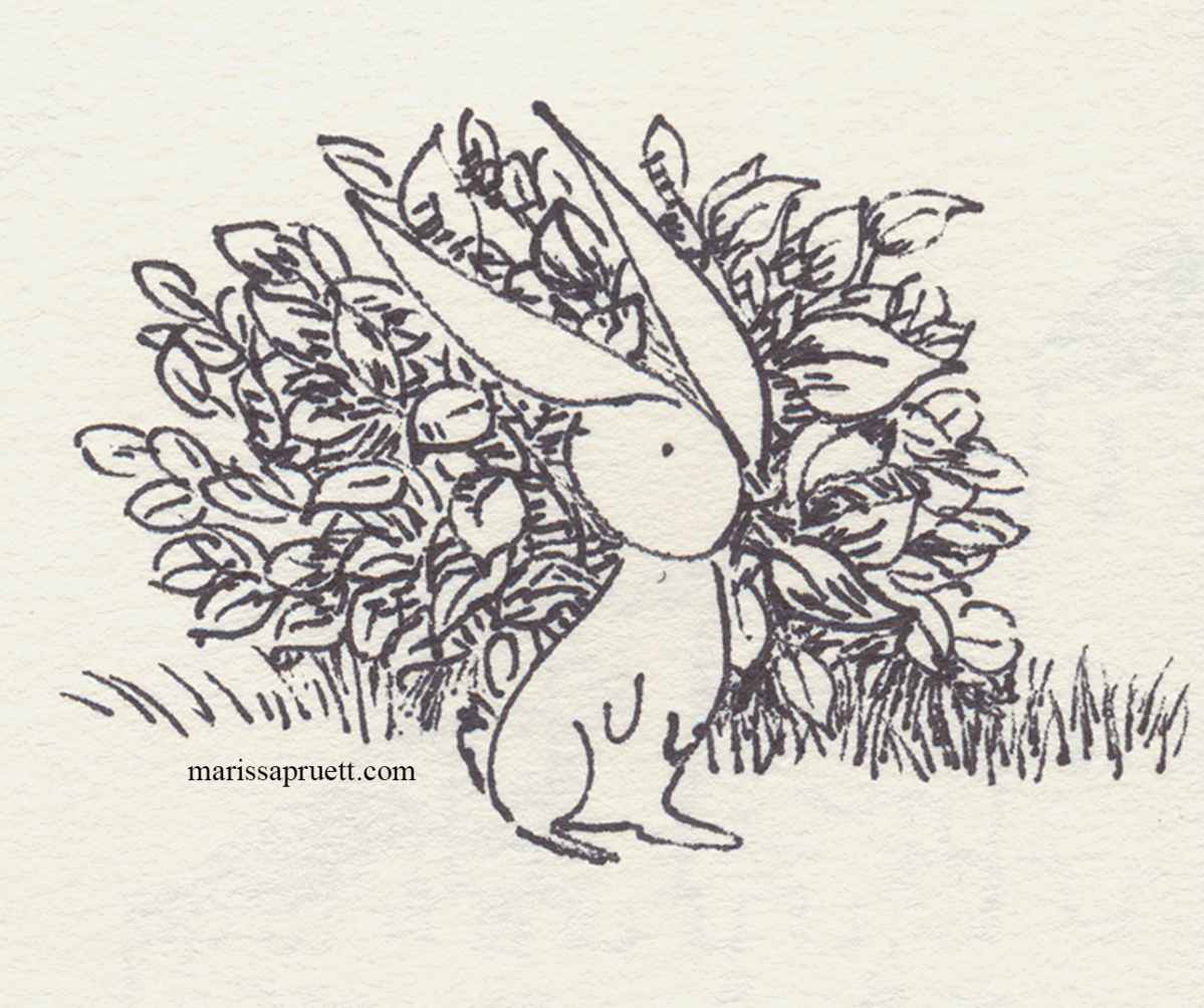 Rabbit by the Bush – Marissa Pruett